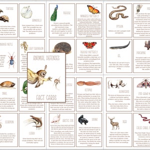 ANIMAL DEFENSES Unit Study, Anatomy, Nature Study, Science, Handwriting ...