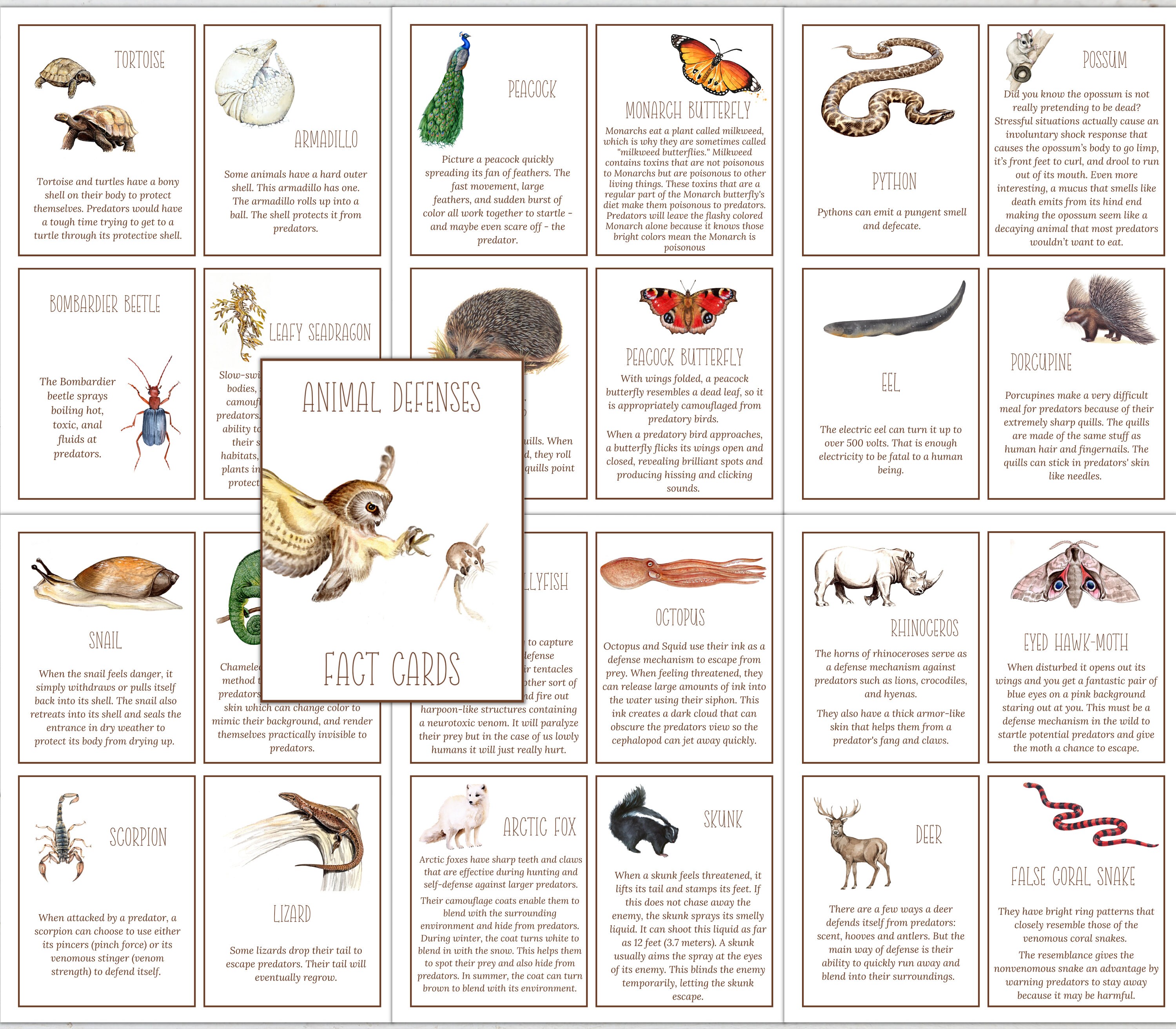 ANIMAL DEFENSES Unit Study, Anatomy, Nature Study, Science, Handwriting ...