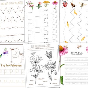 POLLINATORS Unit Study, Nature Study, Science, Handwriting, Homeschool ...