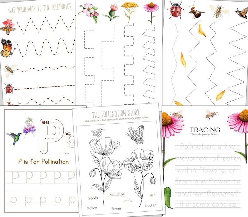 POLLINATORS Unit Study, Nature Study, Science, Handwriting, Homeschool ...