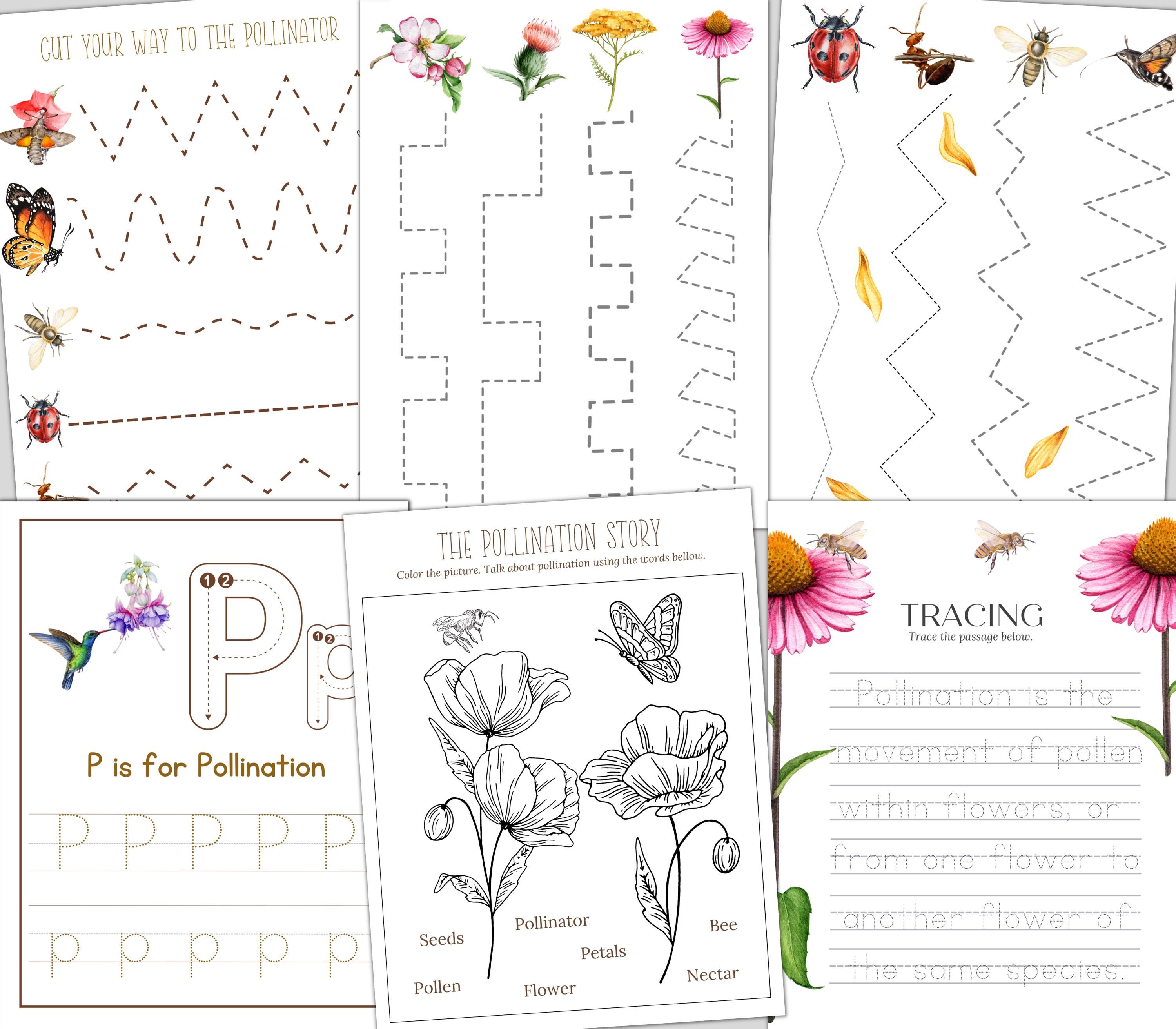 POLLINATORS Unit Study, Nature Study, Science, Handwriting, Homeschool ...