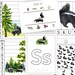 SKUNK Unit Study, Life Cycle, Anatomy, Nature Study, Science ...