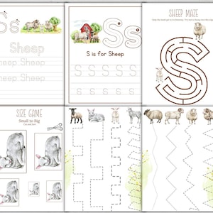 Sheep Unit Study: Life Cycle, Anatomy, Farm Activities (homeschool ...