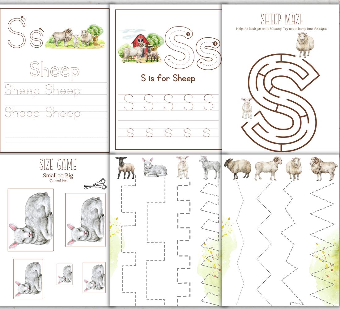 Sheep Unit Study: Life Cycle, Anatomy, Farm Activities (homeschool ...