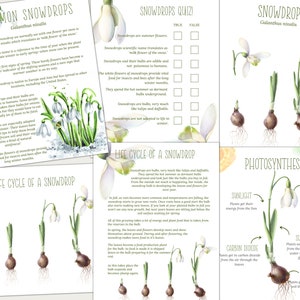 SNOWDROP Unit Study, Life Cycle, Anatomy, Nature Study, Science ...