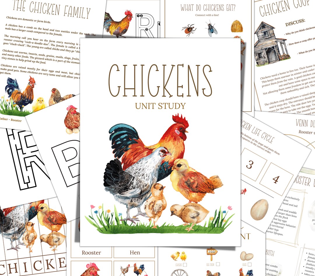 Chicken Unit Study , Life Cycle, Anatomy, DIGITAL DOWNLOAD - Etsy