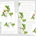 STRAWBERRY Anatomy, Posters + Labeling and Tracing Activities ...