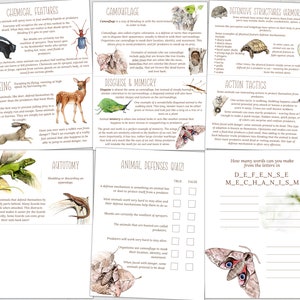 ANIMAL DEFENSES Unit Study, Anatomy, Nature Study, Science, Handwriting ...