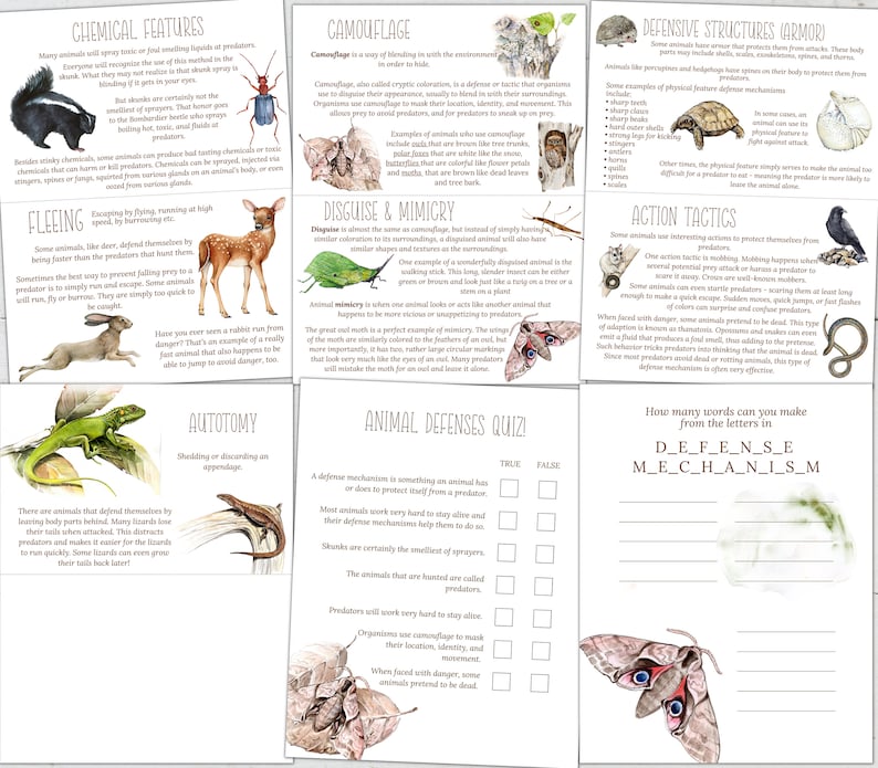 ANIMAL DEFENSES Unit Study, Anatomy, Nature Study, Science, Handwriting ...