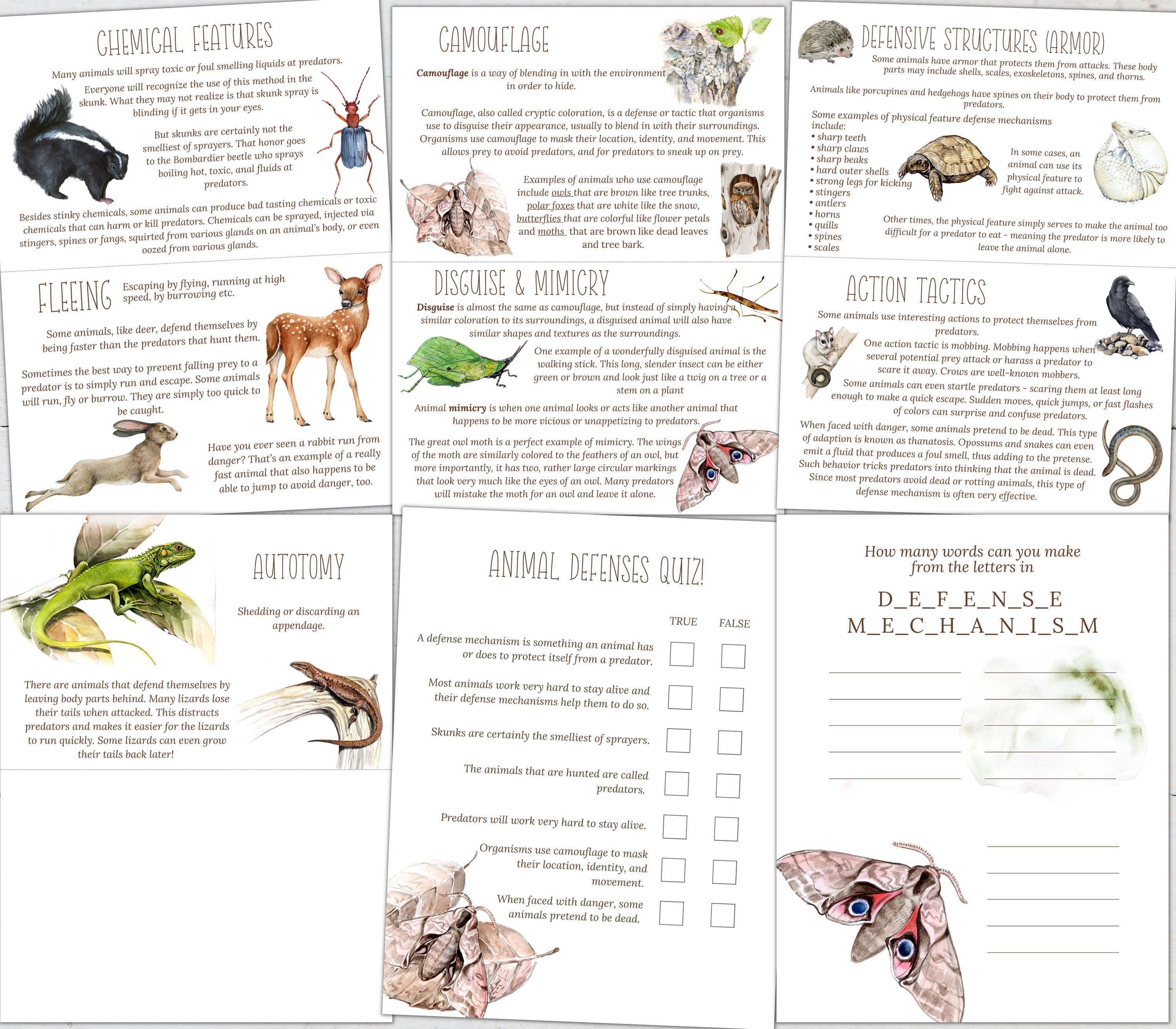 ANIMAL DEFENSES Unit Study, Anatomy, Nature Study, Science, Handwriting ...