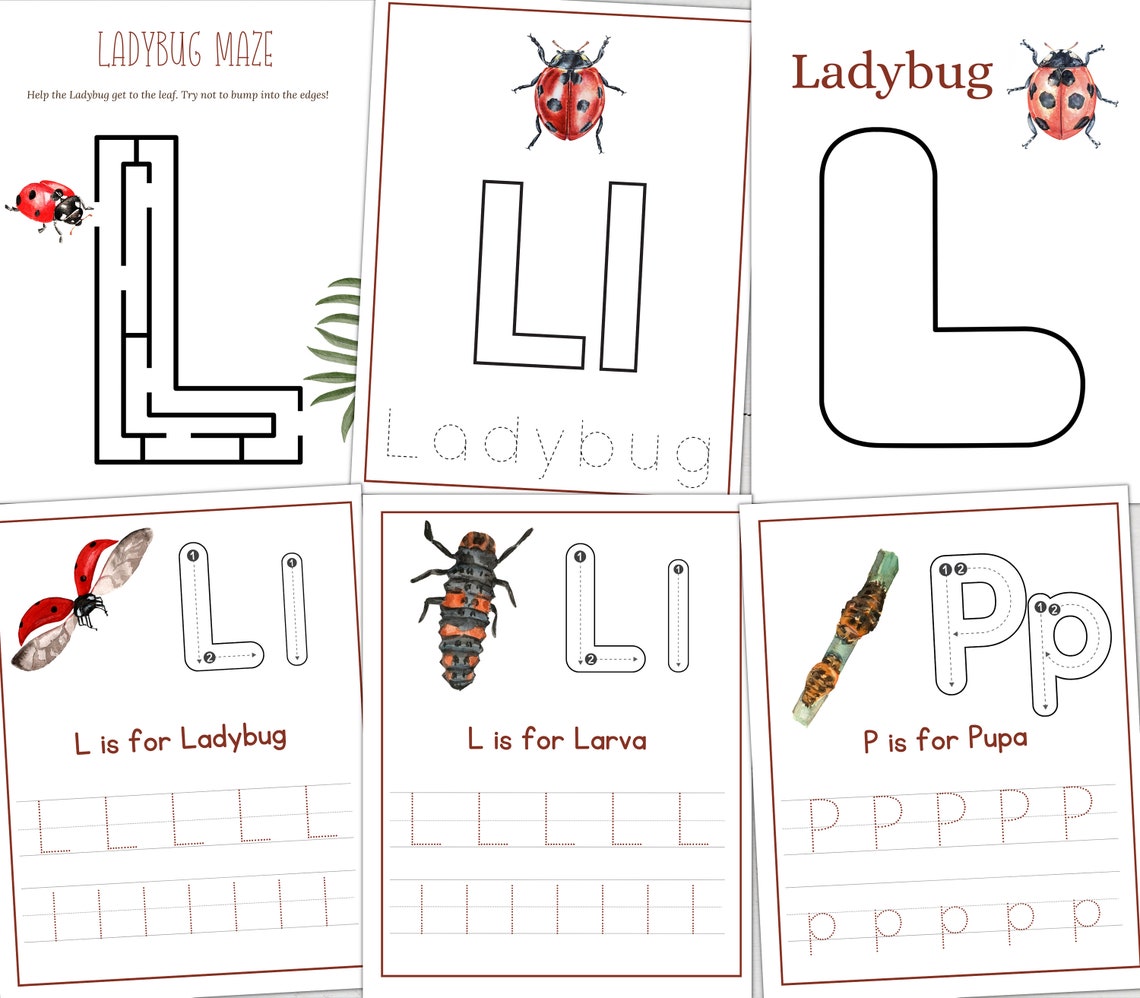 LADYBUGS Unit Study, Nature Study, Ladybug Activities, Science ...