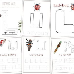 LADYBUGS Unit Study, Nature Study, Ladybug Activities, Science ...