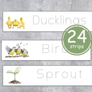 Spring Preschool Printable Word Tracing Strips. Kindergarten ...