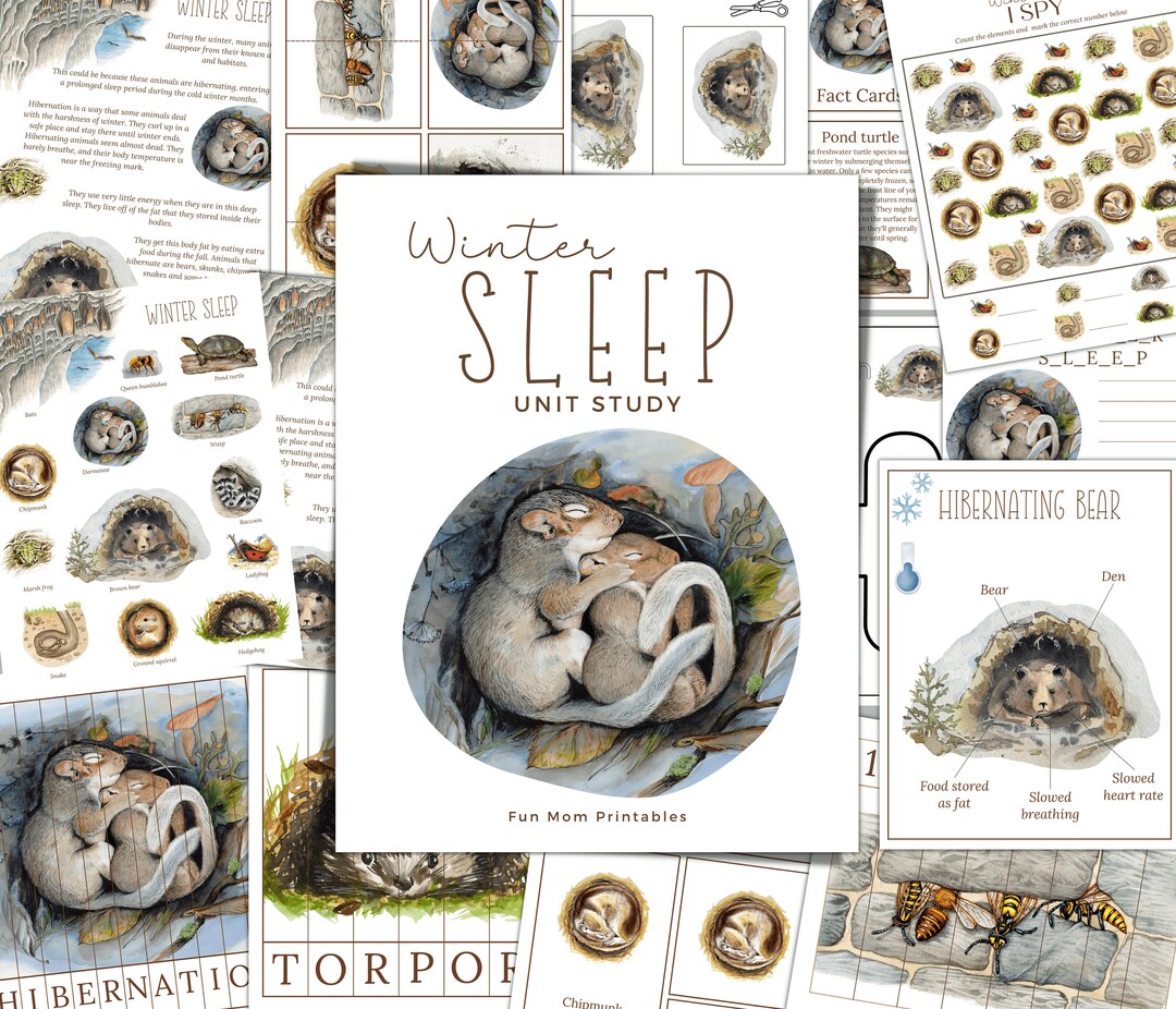 WINTER SLEEP Unit Study, Hibernation, Nature Study, Science ...