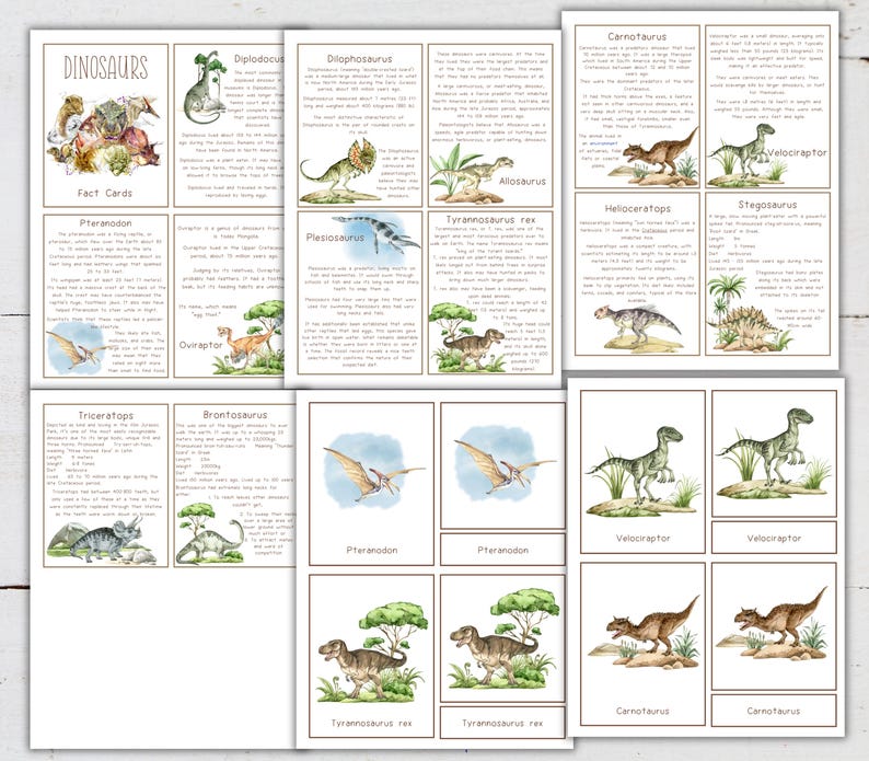 PALEONTOLOGY UNITS BUNDLE, Dinosaurs, Fossils, Ice Age, Homeschool ...