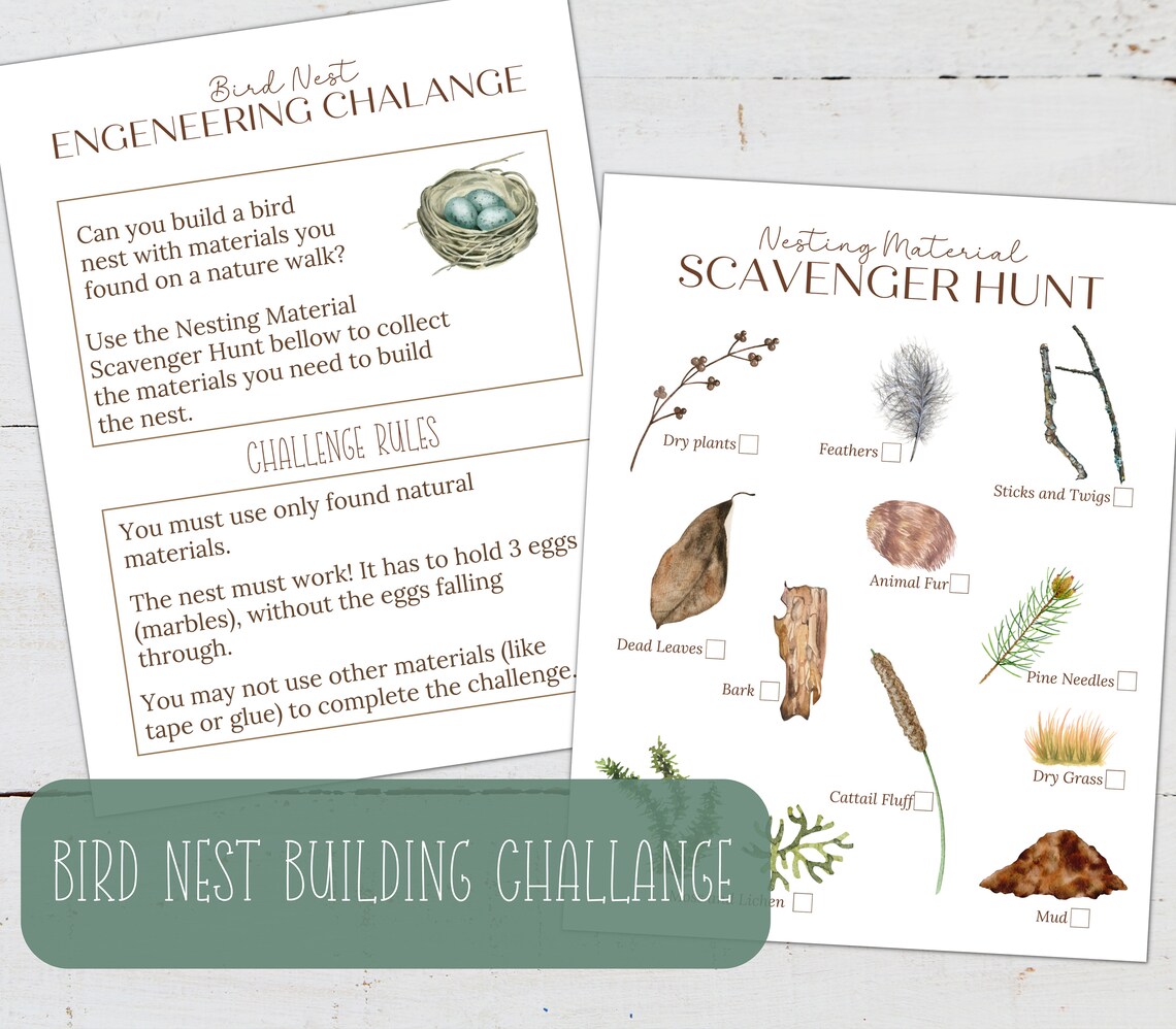 Bird Nest Scavenger Hunt: Nature Study Challenge (printable PDF) - Etsy