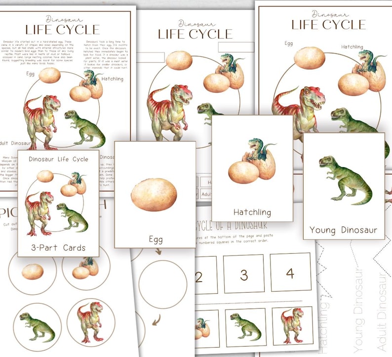 DINOSAUR Life Cycle, Nature Study, Homeschool Printable, Instant ...