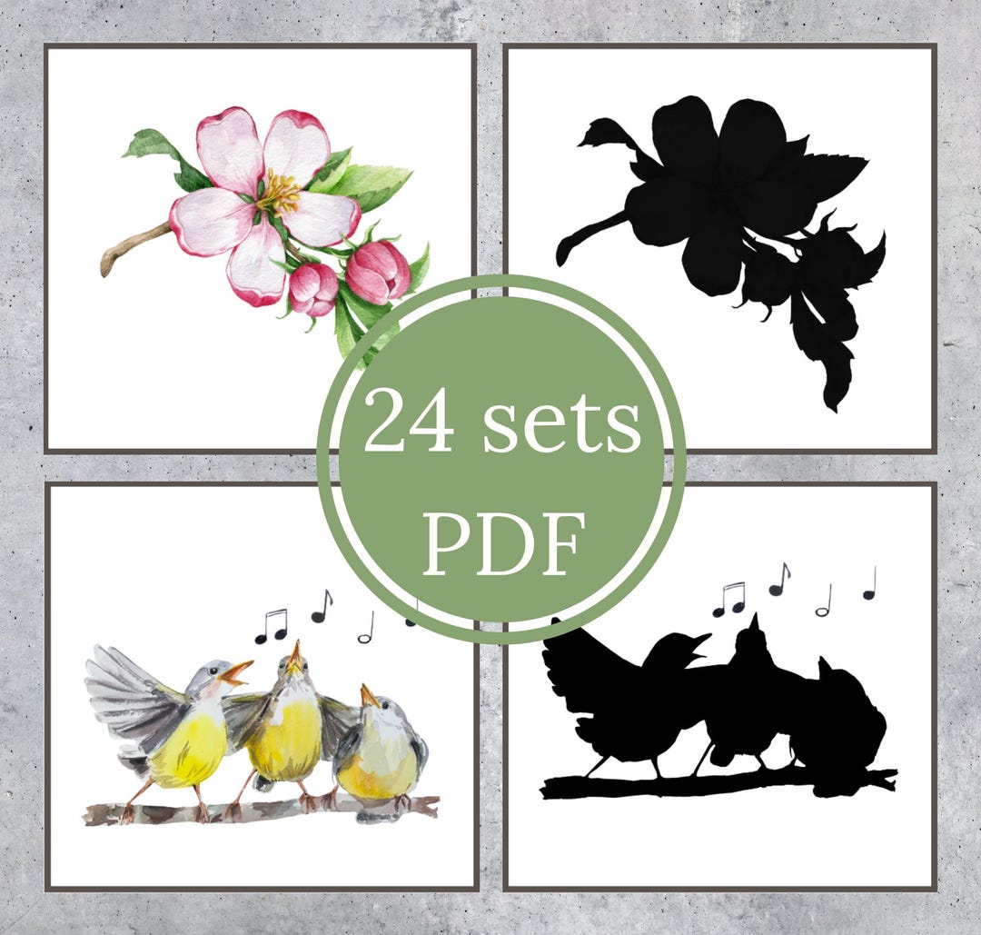 SPRING NATURE Shadow Matching Cards. Toddler Montessori Printable ...