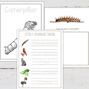 Letter C Caterpillar Activities: Alphabet Learning Printable (digital ...