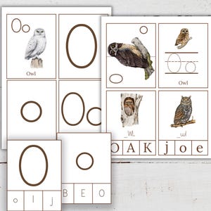 LETTER of the WEEK, O is for Owl, Letter O Activities, Alphabet ...