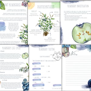 SUMMER GARDEN BUNDLE, Strawberry Unit, Blueberry Unit, Watermelon Unit ...