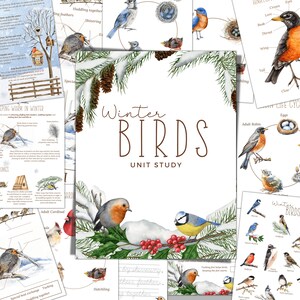 WINTER NATURE BUNDLE, Winter Forest Animals Unit, Winter Birds Unit ...