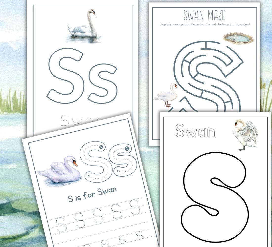 Swan Unit Study: Life Cycle, Anatomy, Activities (homeschool Printable ...
