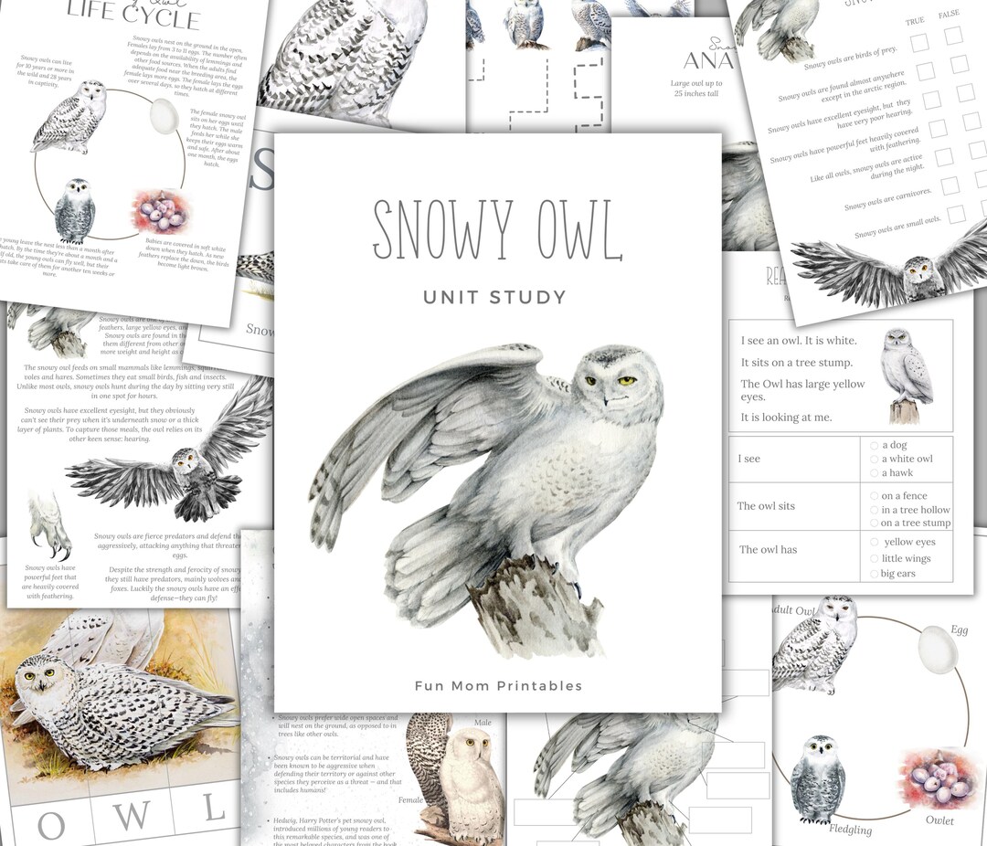 SNOWY OWL Unit Study, Life Cycle, Anatomy, Nature Study, Science ...
