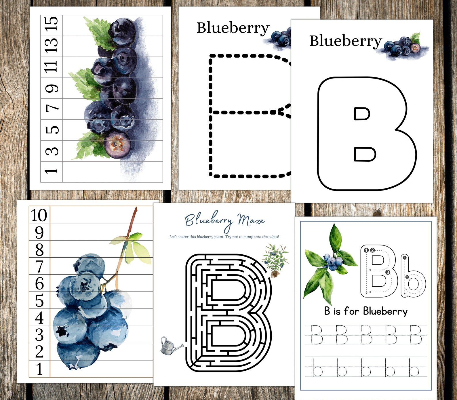 BLUEBERRY Unit Study Life Cycle Anatomy Nature Study - Etsy UK