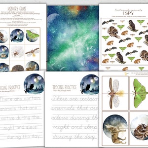 Nocturnal Animals Unit Study: Anatomy, Life Cycle, & Handwriting ...