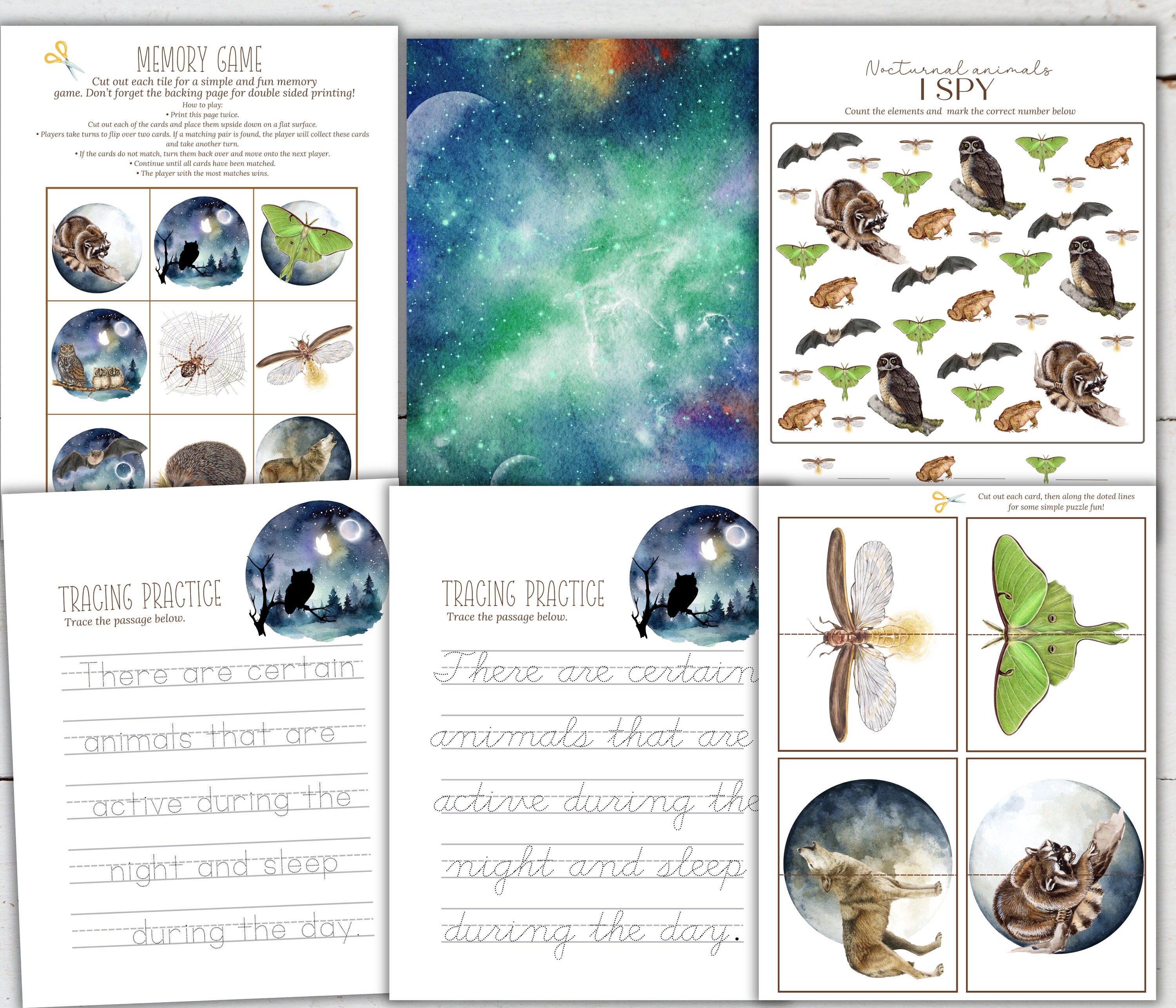 Nocturnal Animals Unit Study: Anatomy, Life Cycle, & Handwriting ...