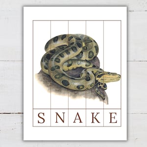 LETTER of the WEEK, S is for Snake, Letter S Activities, Alphabet ...