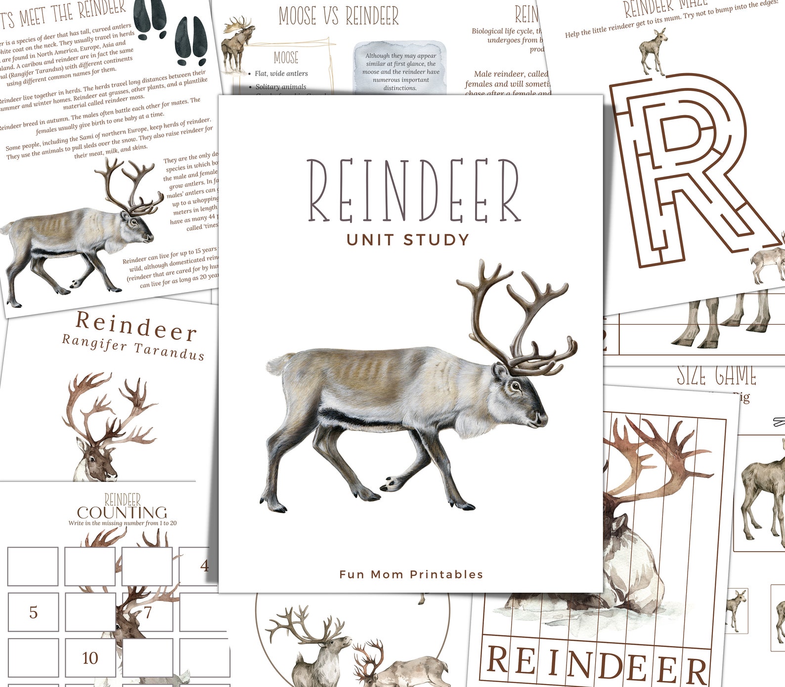 Deer, Moose, Reindeer Unit Studies Bundle (homeschool Printable) - Etsy