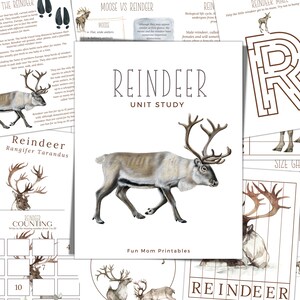 Deer, Moose, Reindeer Unit Studies Bundle (homeschool Printable) - Etsy