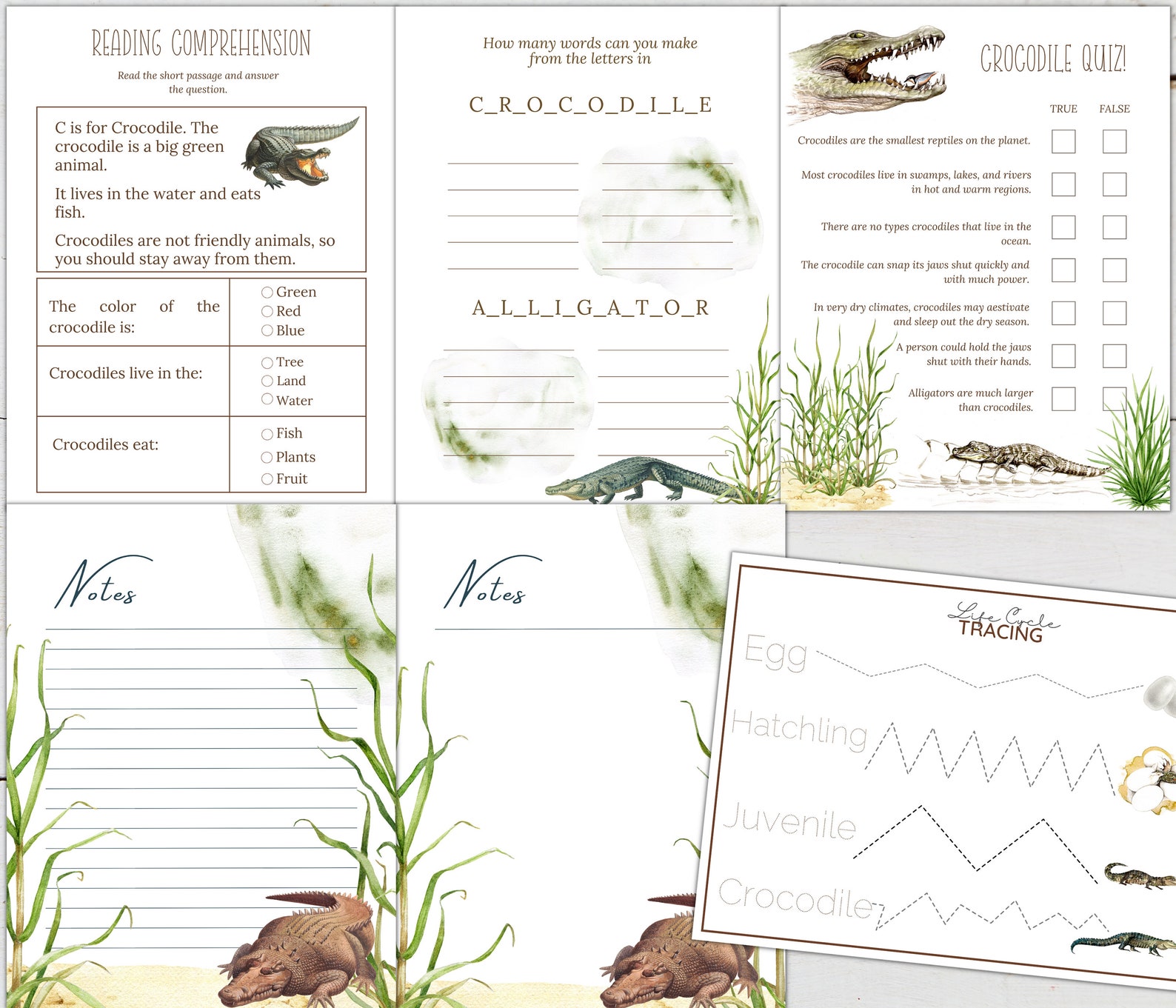 Crocodile Unit Study: Homeschool Science Printable (instant Download ...