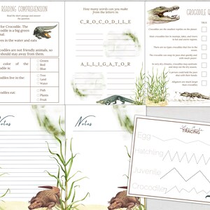 CROCODILE Unit Study, Life Cycle, Anatomy, Nature Study, Science ...