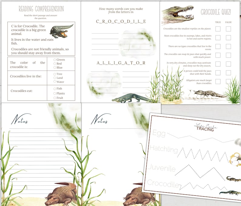 Crocodile Unit Study: Homeschool Science Printable (instant Download ...