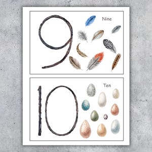 NATURE Counting Flashcards, 1 to 10 Counting, Toddler Preschool ...