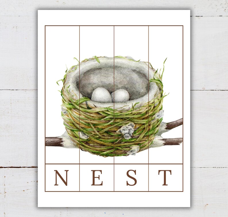 Letter N is for Nest: Alphabet Learning Printable (digital Download) - Etsy