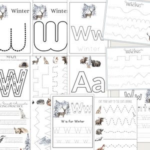 Winter Forest Animals Unit Study: Homeschool Printable (instant ...
