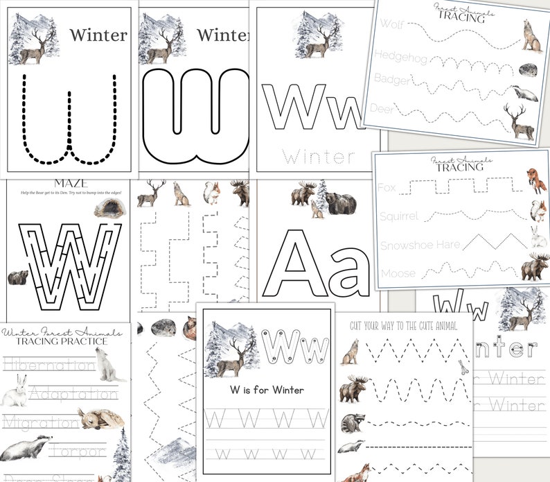 WINTER FOREST ANIMALS Unit Study Anatomy Nature Study - Etsy