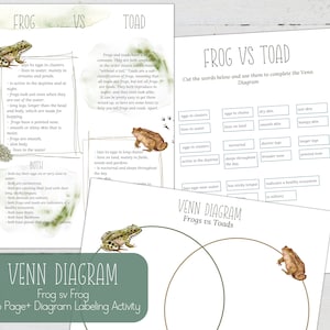 FROG Unit Study, Life Cycle, Anatomy, Nature Study, Science ...