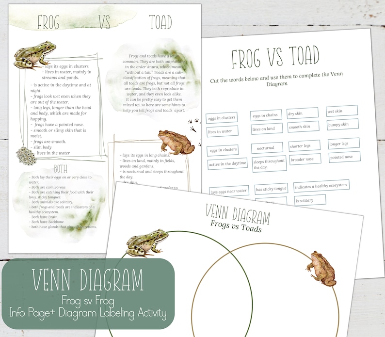 FROG Unit Study, Life Cycle, Anatomy, Nature Study, Science ...