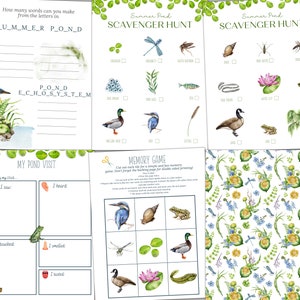 POND Unit Study, Animals and Plants Unit, Life Cycle, Anatomy, Nature ...