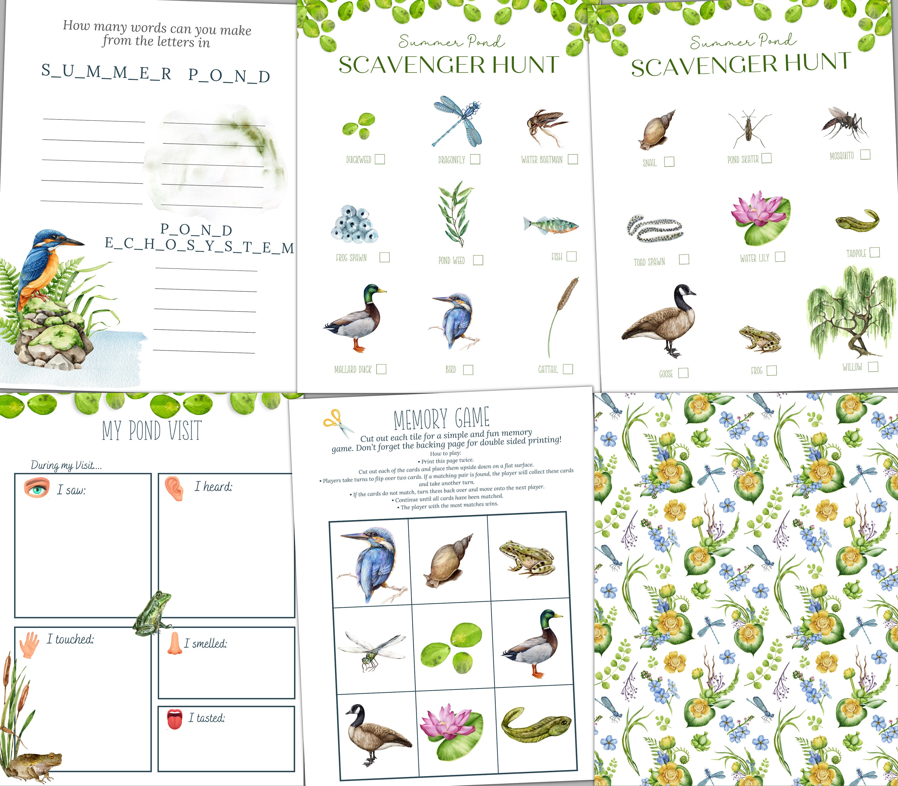Pond Life Unit Study: Animals, Plants, Ecosystem (instant Download) - Etsy