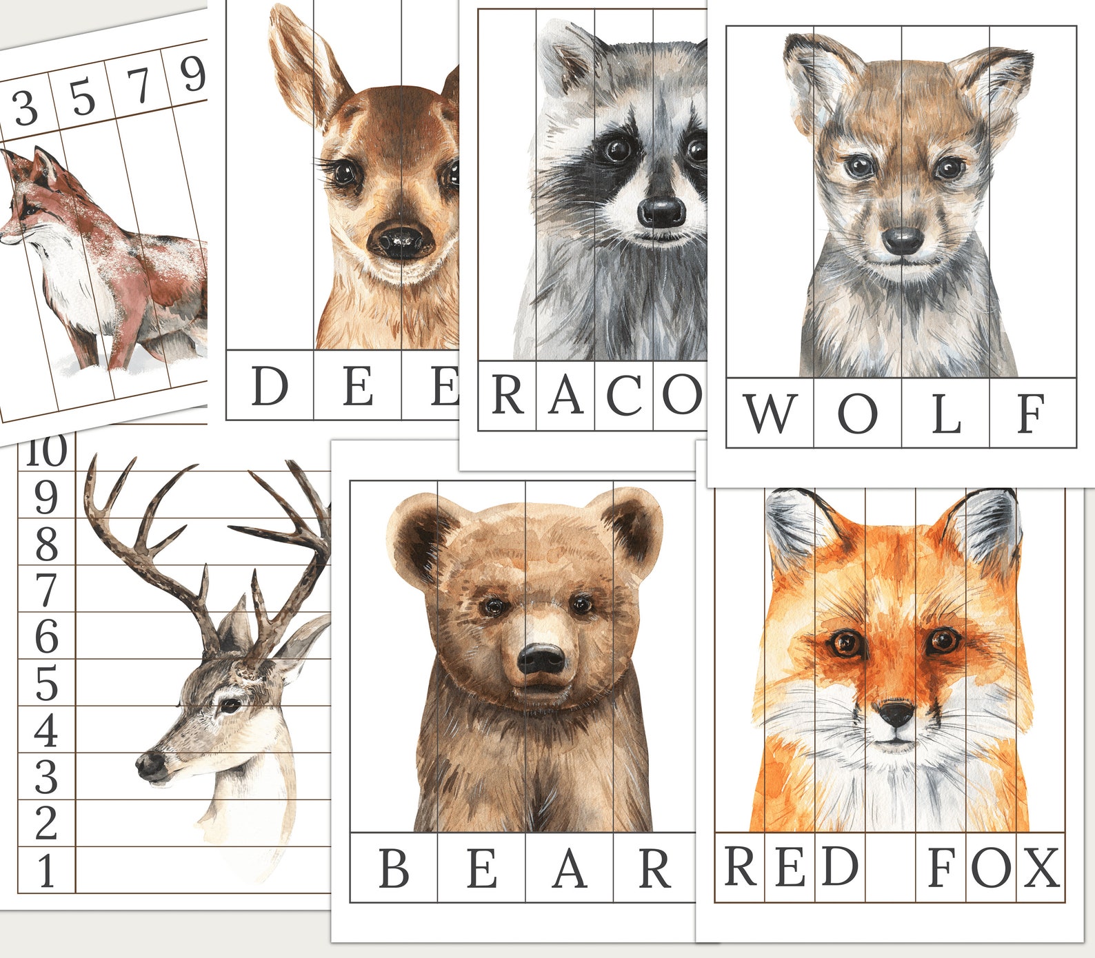 WINTER FOREST ANIMALS Unit Study Anatomy Nature Study - Etsy