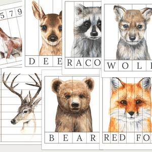 Winter Forest Animals Unit Study: Homeschool Printable (instant ...