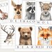 Winter Forest Animals Unit Study: Homeschool Printable (instant ...