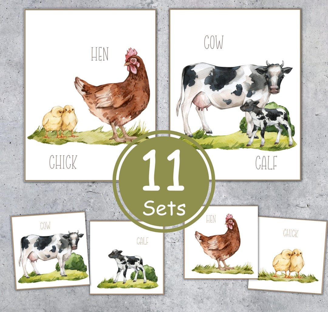 FARM ANIMAL MOMS and Their Babies Flashcards and Matching Activity ...