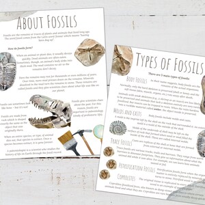 FOSSILS Unit Study, Anatomy, Nature Study, Science, Handwriting ...